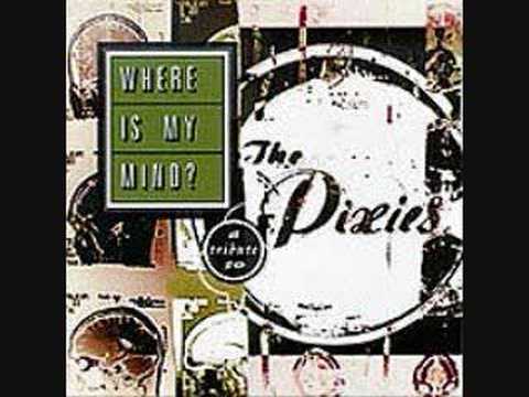 The best Pixies covers ever made - Auralcrave