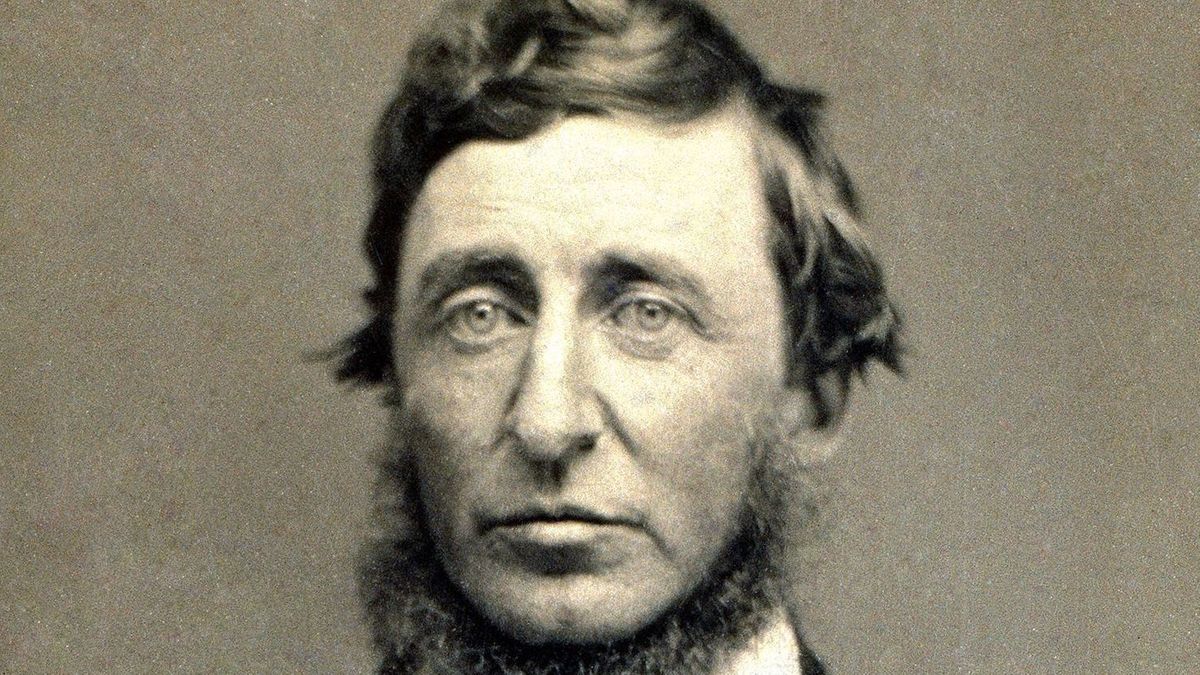 Le lezioni di Henry David Thoreau: per l'ambiente non basta protestare ...