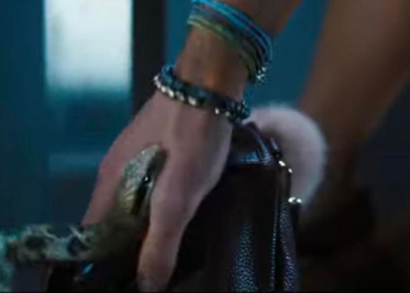 The venom in Bullet Train: is the boomslang snake real? - Auralcrave