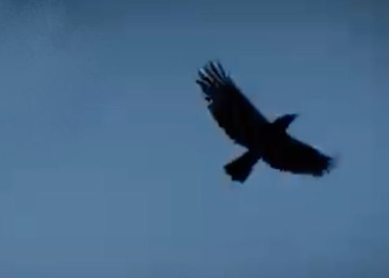 From series, the theme song explained: who sings it? - Auralcrave