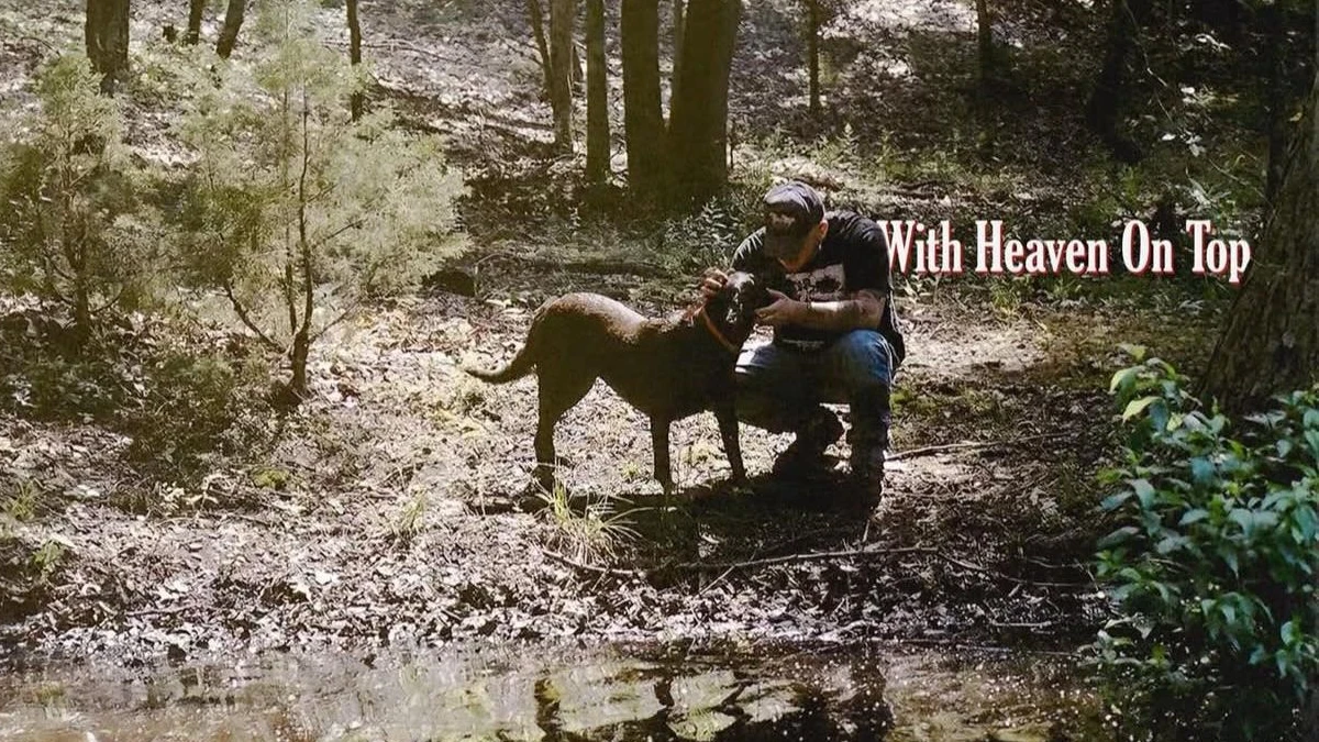 Zach Bryan ‘Skin’ Lyrics Meaning: The Psychology of the Physical Purge