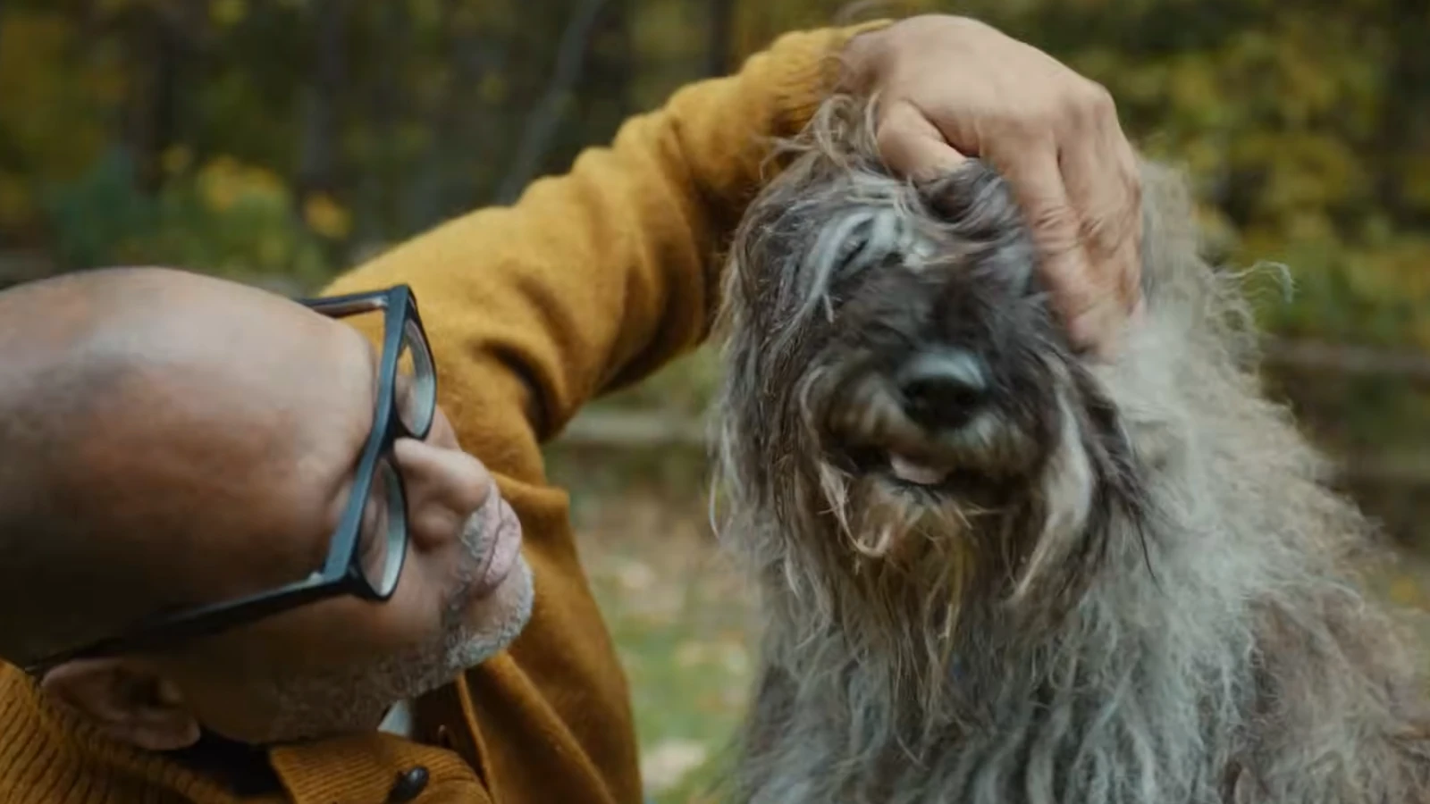 With a Dog Like You: The Story of the Farmer's Dog Commercial Song